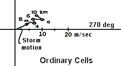 Supercell Structure and Dynamics