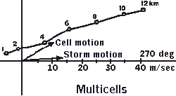 Supercell Structure and Dynamics