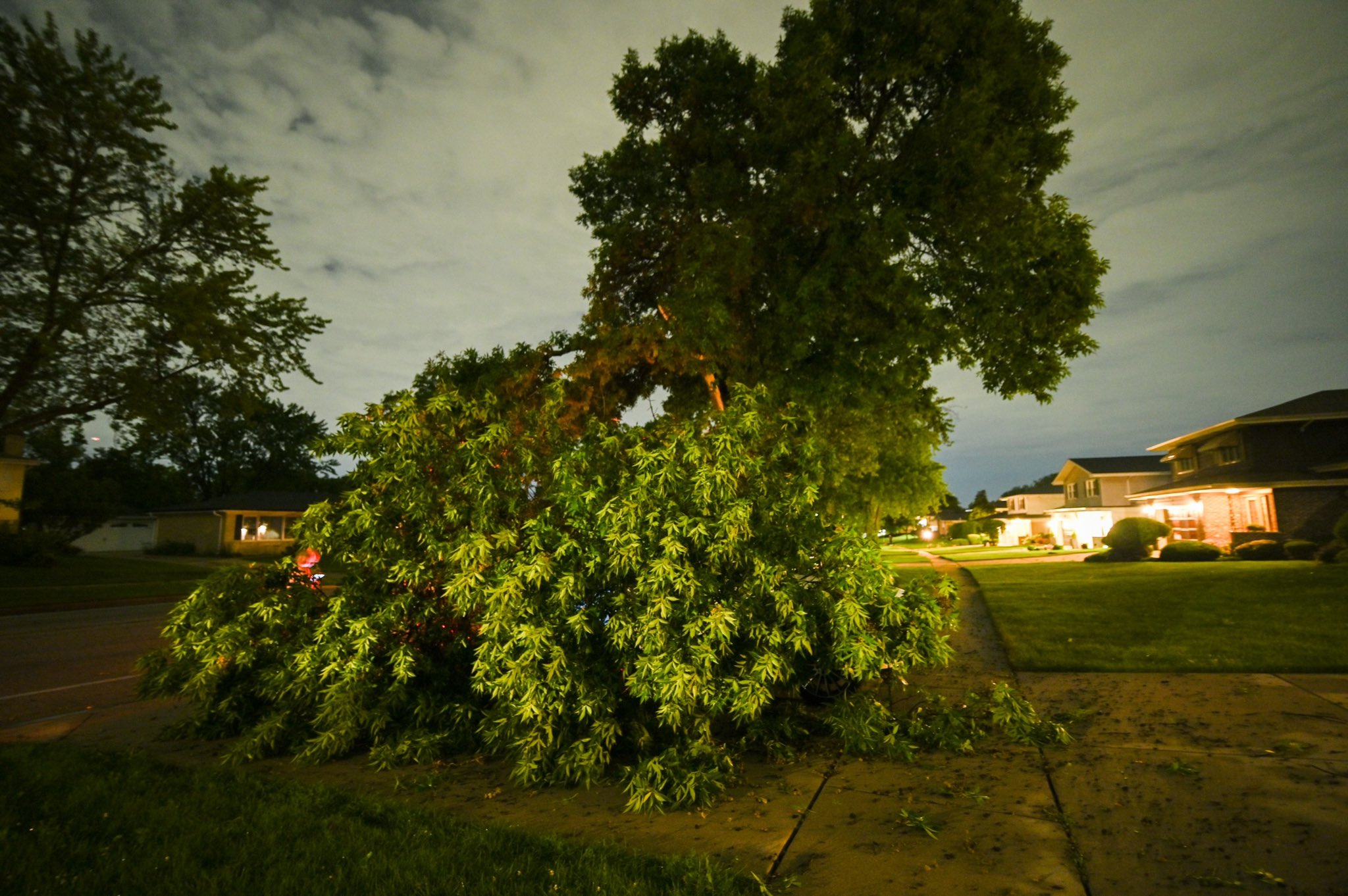 July 14, 2023: Storms Produce Damaging Winds Across Northern Illinois ... July 14, 2023: Storms Produce Damaging Winds Across Northern Illinois ...