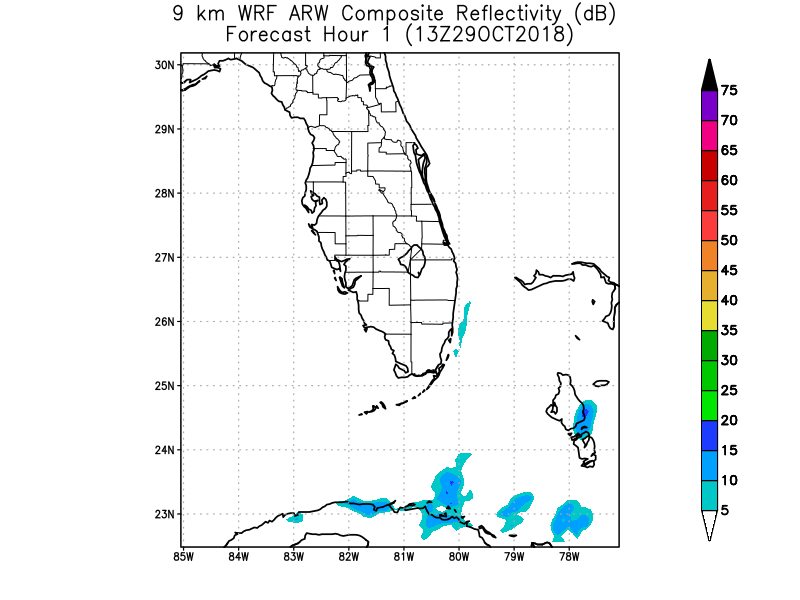 WRF Composite Reflectivity Loop
