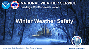 Winter Presentations